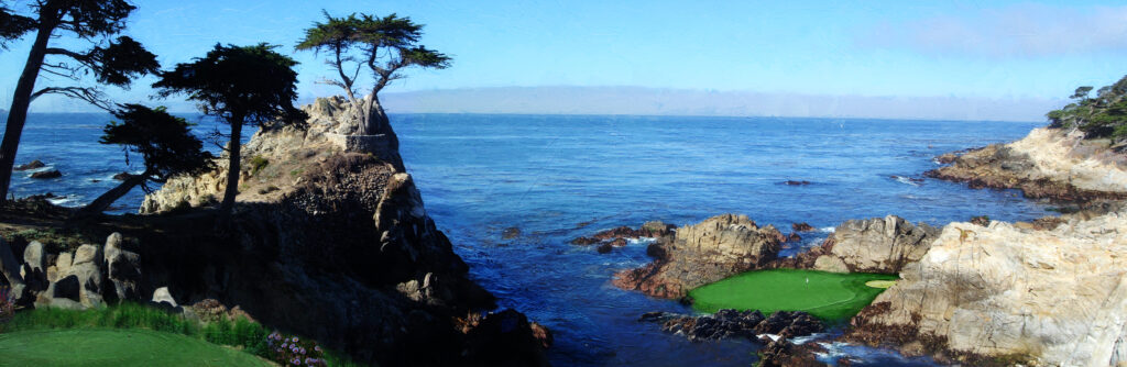 The Legendary Tree — An Icon of the California Coast - Fine Art
