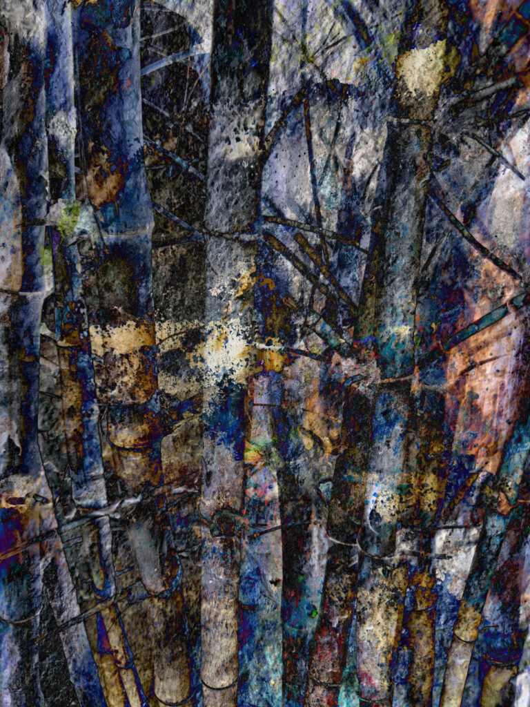Forest For The Trees Abstract Fine Art - Fine Art